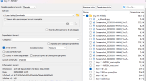 Windows 11 Tiny11 Download - BACKdigit.com